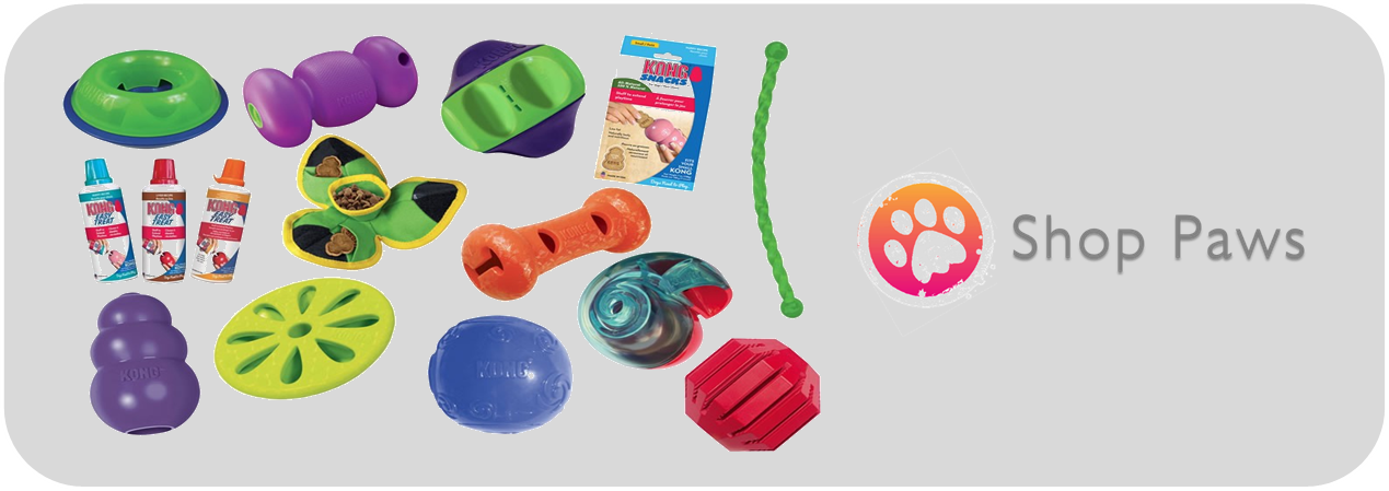 Swim Paws - Fun and therapy