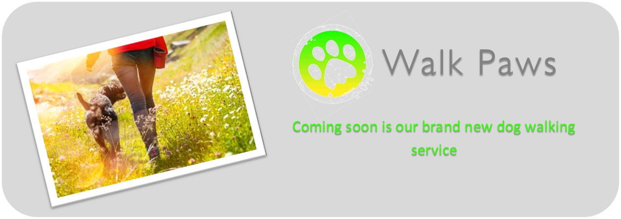 Swim Paws - Fun and therapy