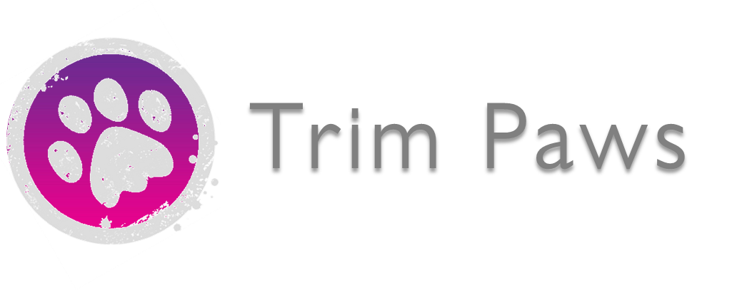 Swim Paws - Fun and therapy