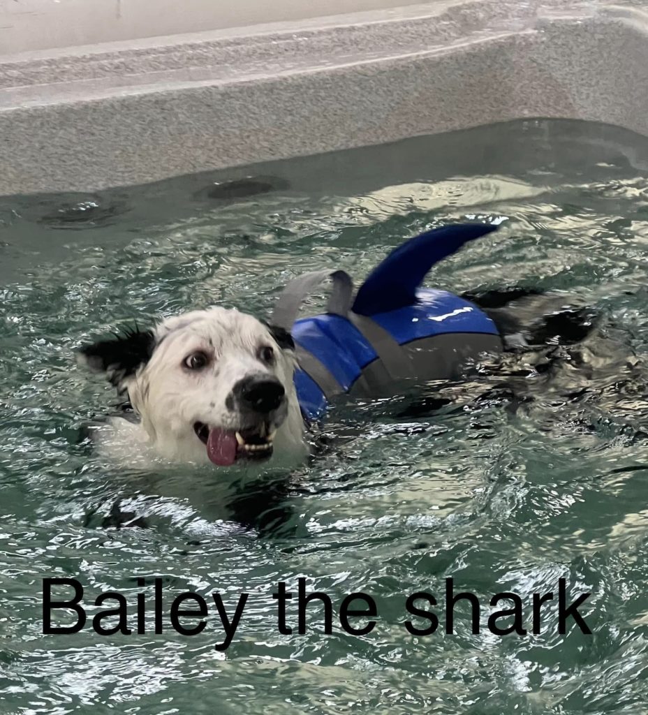 Swimming - Stockton on Tees